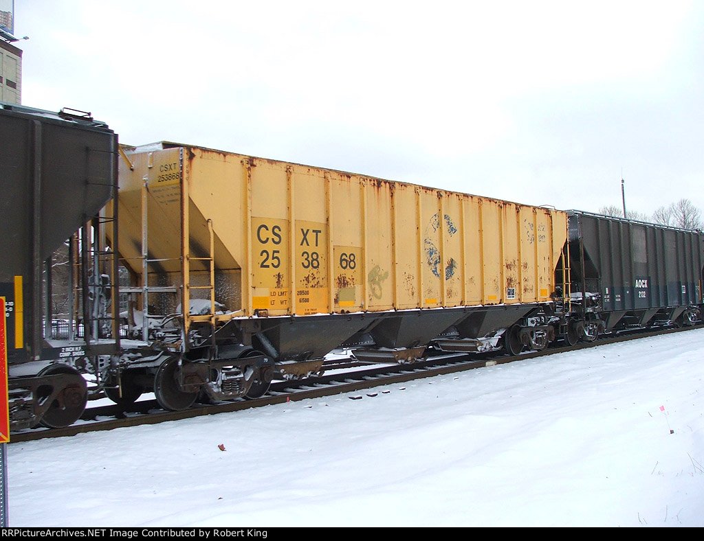 CSX 253868 Faded Chessie Hopper